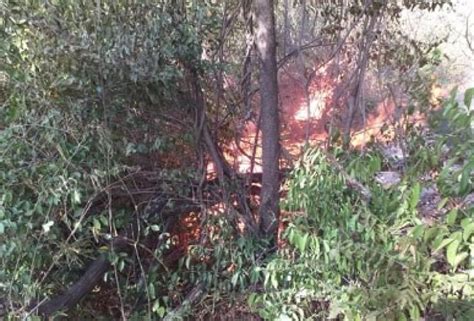 Incendios Forestales En El Tolima Han Consumido 31 Hectáreas Alerta