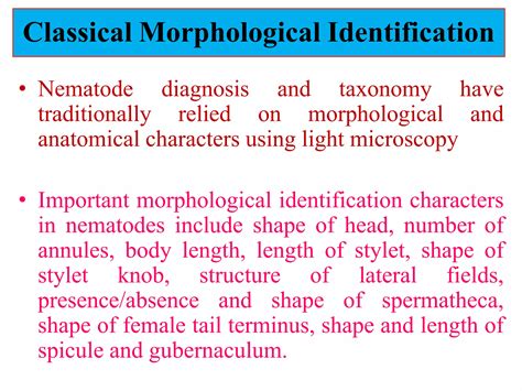 Nematode Identification Techniquespptx