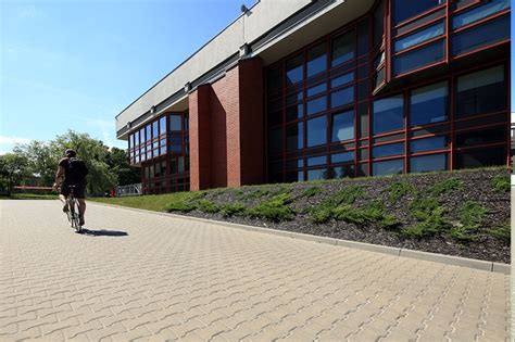 TETKA Bez Fazy Gr 10cm Styl Bruk Jaworzno