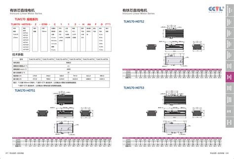 直线电机模组（有铁芯） 东莞市泰莱自动化科技有限公司