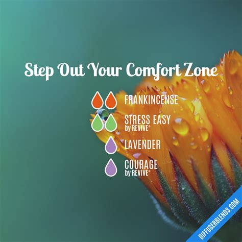 Step Out Your Comfort Zone