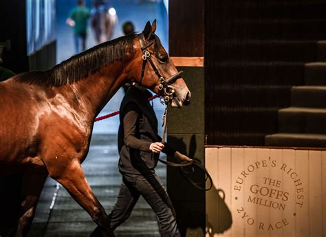 Inaugural Goffs Million Attracts 79 Entries At This Stage