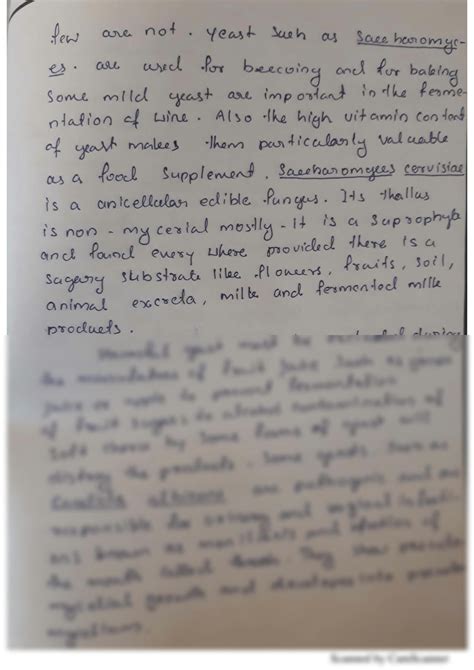 Solution Morphology Of Yeast Studypool