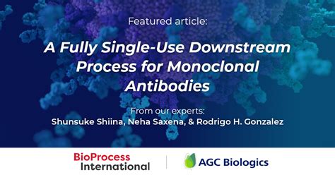 Single Use Membrane Chromatography Enhances Mab Downstream Production