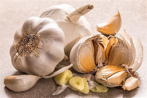 Usia 40 Wajib Coba Deh Konsumsi Satu Siung Bawang Putih Setiap Pagi