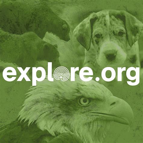 About Us Explore Org