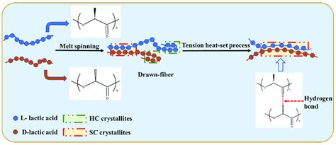 Schematic Of Stereo Complexation Process For Plla Pdla Fiber