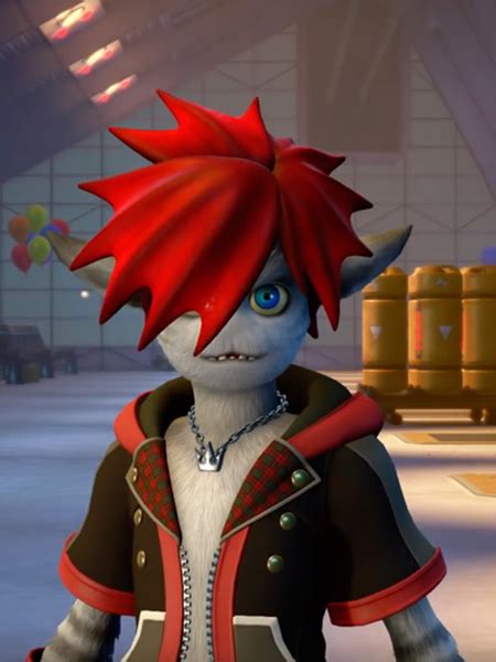 Figurine Pop Sora Monsters Inc Kingdom Hearts 408 Pas Cher