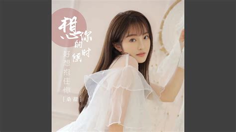 想你的时候好想抱住你 Dj阳少版 Youtube