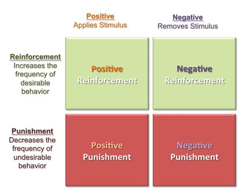 Theories Of Learning Mba Knowledge Base