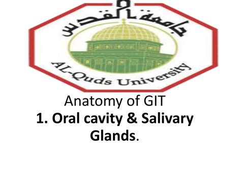 1anatomy Of Oral Cavity And Salivary Glandspdf