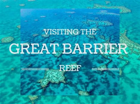 Visting The Great Barrier Reef Nature Lover Recommendations
