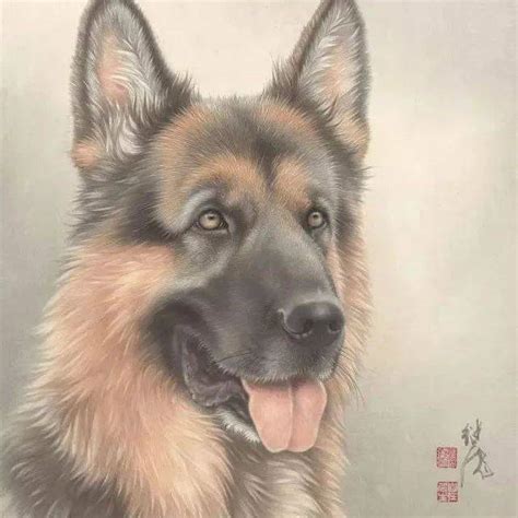 工笔画狗的画法超详细步骤 赭石 品种 人类