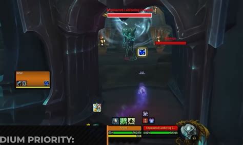 Does Anyone Know What These Unit Frames Are R Wow