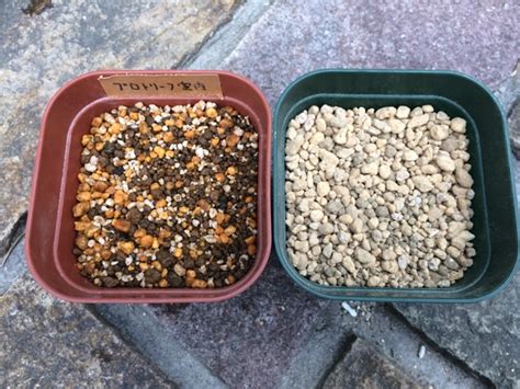 プロトリーフ サボテン多肉植物の土の詳細とレビュー