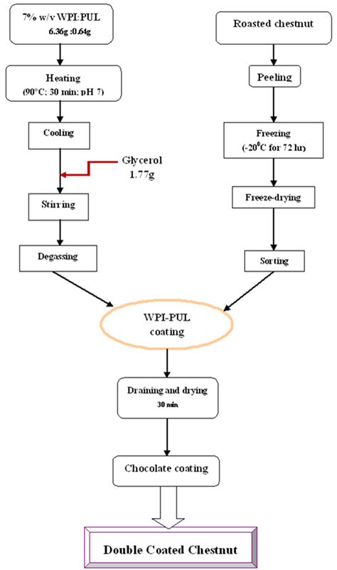 Protein Synthesis Flow Chart