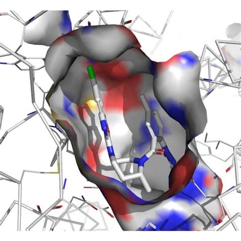 Computer Aided Drug Design Company Model Based Drug Development