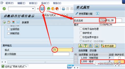 sap维护屏幕变式 设置为默认启动 csdn博客