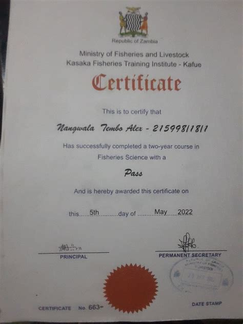alex tembo nangwala on linkedin am still looking for a job any job
