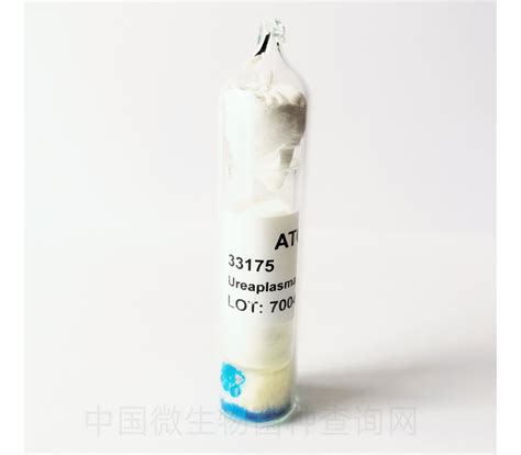 美国atcc 微生物菌种查询网 Atcc 菌种 质粒 细胞系