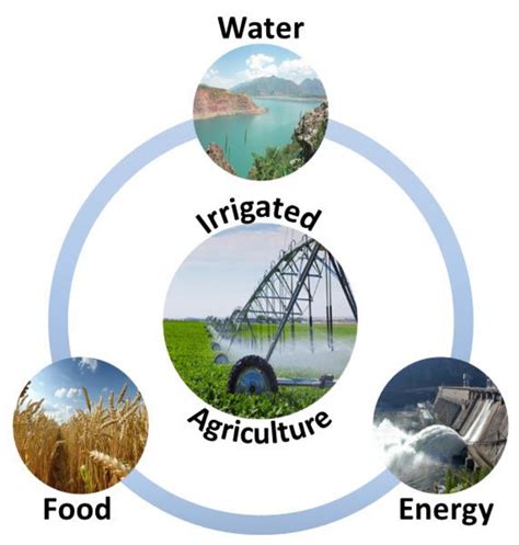 Research Article Sustainability Considerations In WaterEnergyFood