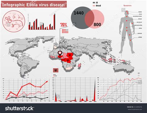 Ebola Virus Diseaseebola Infographics Stock Vector Royalty Free