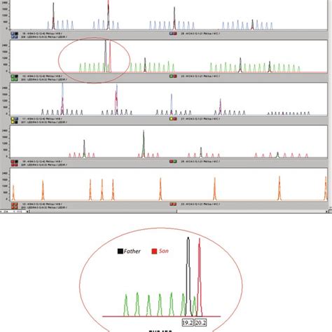 Y Str Mutations Of 90 Father Son Pairs Download Table