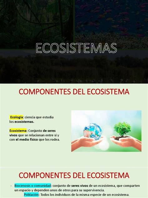 Ecosistemas 1eso Biologia Pdf Ecosistema Red Alimentaria