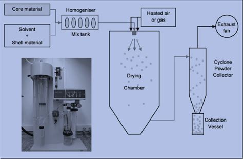 The Encapsulation Process Of Probiotics By Spray Drying Download Scientific Diagram