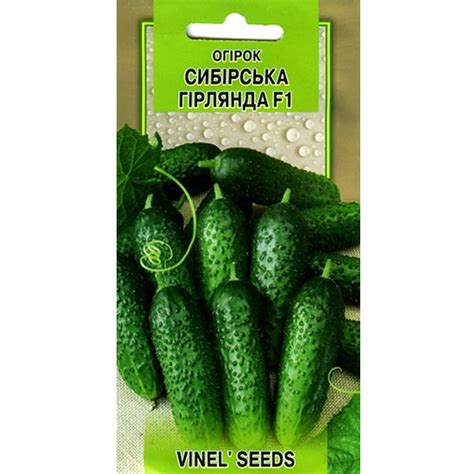 Огурец Сибирская гирлянда F1 Vinel seeds (95685): купить семена почтой ...