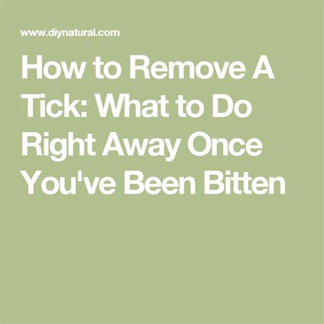 Tips For Tick Removal Immediate Actions After A Bite