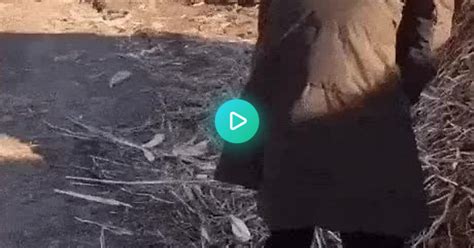 She Got Him Good Album On Imgur