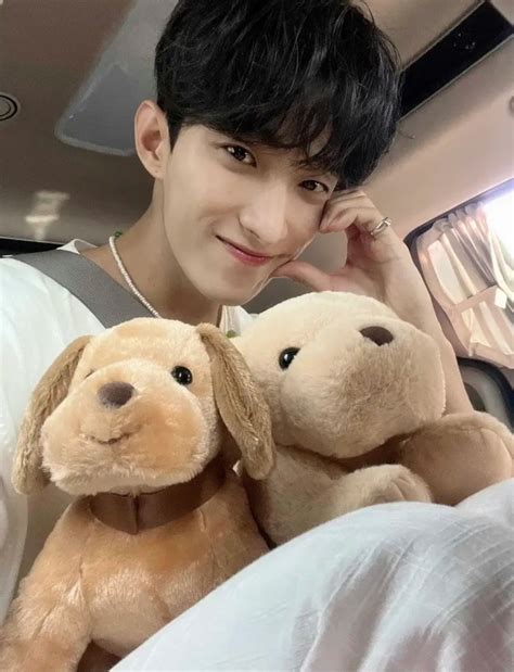 Seventeen 커뮤니티 포스트 大家早点睡噢，希望大家能度过美好的一天 （随手抓一张汪汪队合照🐶）（bushi