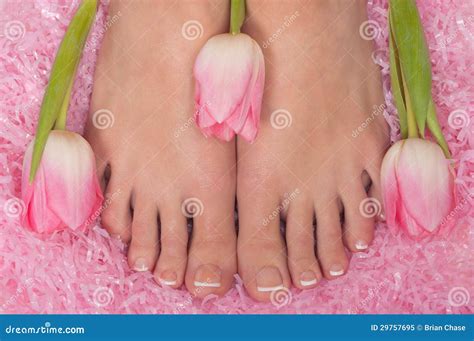 Pedicure Stock Image Image Of Aromatherapy Flower Pedicure 29757695