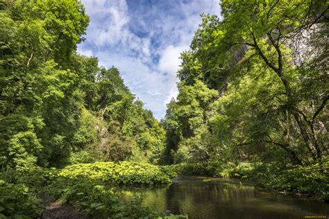 Обои Природа Реки Озера обои для рабочего стола фотографии природа реки озера река лес