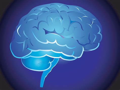 Origen De La Neurociencia Mind Map Vrogue Co