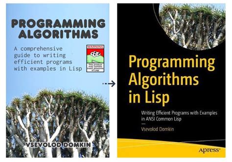 programming algorithms in lisp is out r common lisp