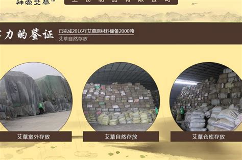 艾叶泡脚治病？