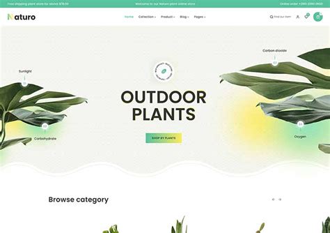 响应式绿植盆栽植物电商线上商城网站网页html5模板云部落资源网