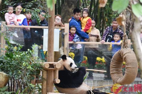 2萬遊客暢遊深圳野生動物園 香港文匯網