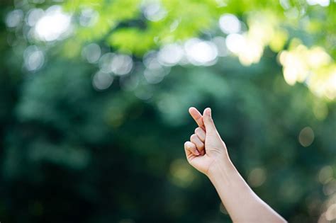 순수한 사랑을 표현하는 손 깨끗한 화이트 핸즈 러브 컨셉 2명에 대한 스톡 사진 및 기타 이미지 2명 가족 개념 Istock