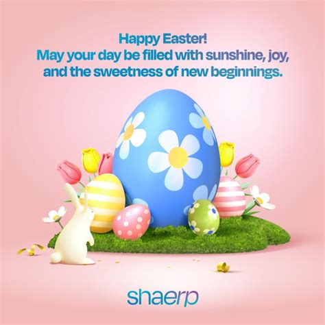 Shaerp Bv Posted On Linkedin