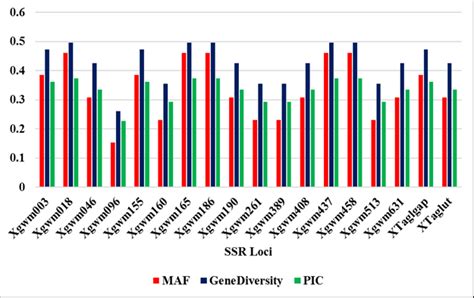 Distribution Of Minor Allele Frequency Maf Genetic Diversity Gd