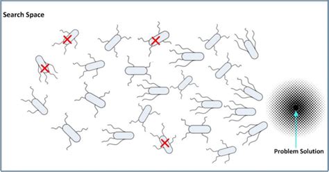 Chemotaxis Principle Of Bacterial Population Adapted In In Bfo