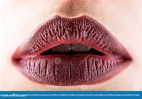 Lips Brown Lip Close Up Of Plump Soft Lips With Dark Brown Lipstick