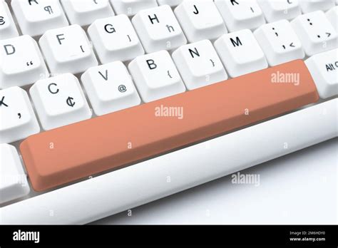 Developing New Interactive Website Editing Programming Codes Global
