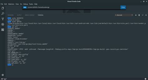 Gopath From Zshenv Not Detected Correctly · Issue 1133 · Microsoft
