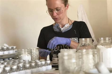 Business Guide How To Make Toothpaste Tablets