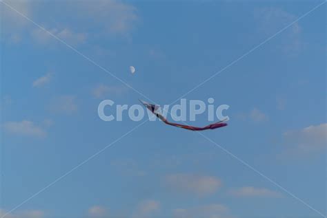 하늘 달 연 푸른색 구름 사진이미지일러스트캘리그라피 Jupalopa작가