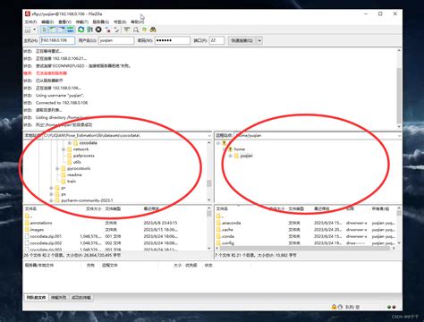 一种在局域网内两台电脑互传文件的方法windows或linuxfilezilla两台电脑传输文件 Csdn博客